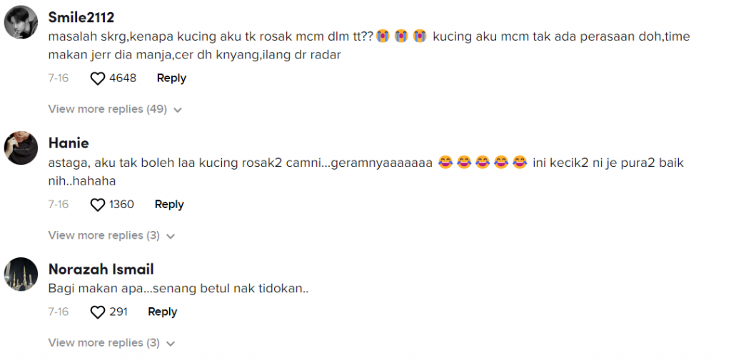Kucing Rosak Komen 1 - I Muslim Network
